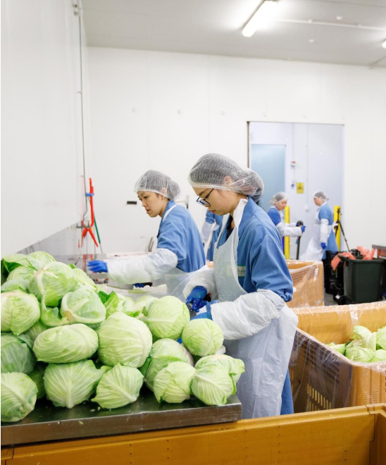 About Us | freshfrontier.co